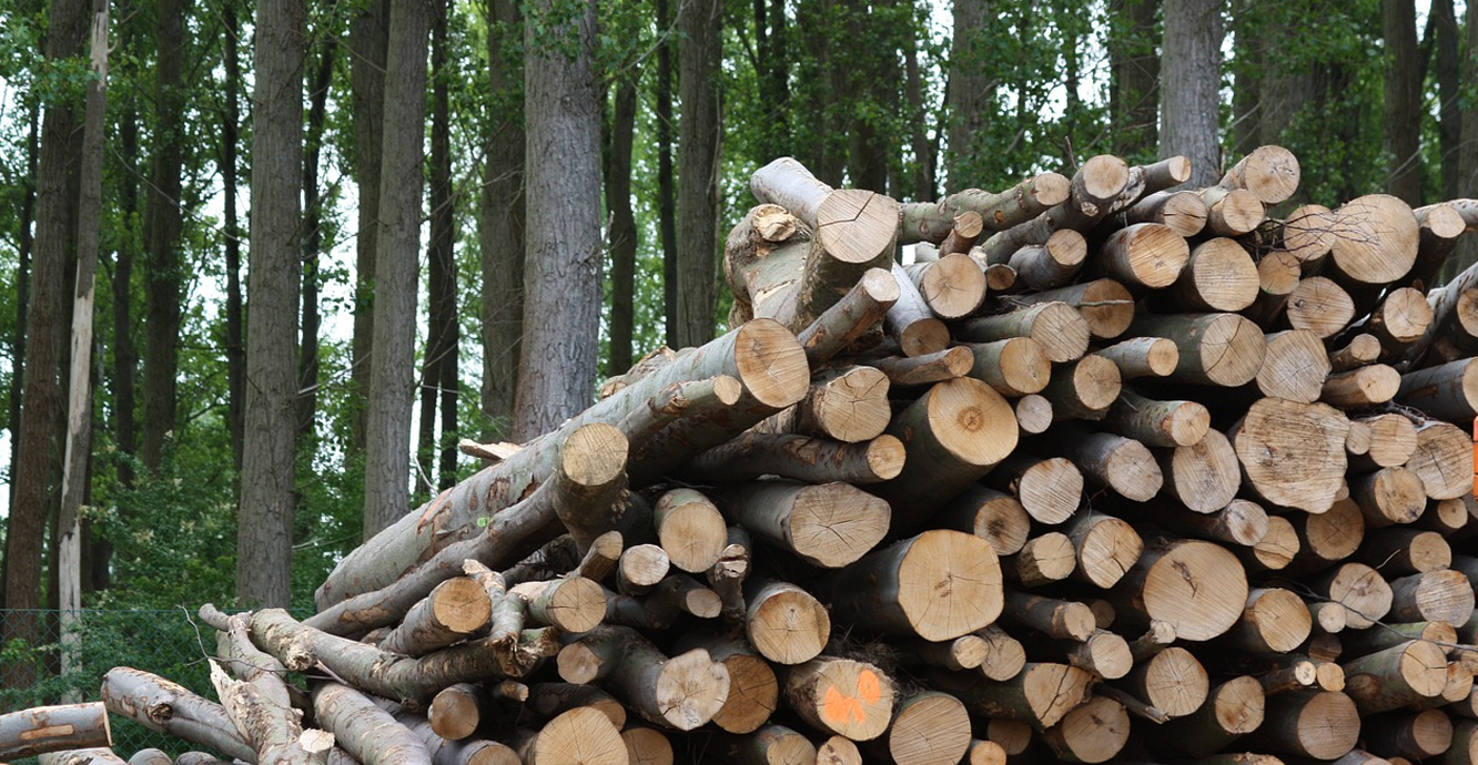 Understanding carbon capture and storage - British Geological Survey